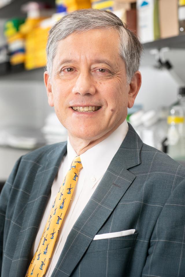 Timothy C Wang, MD | Columbia Institute of Human Nutrition